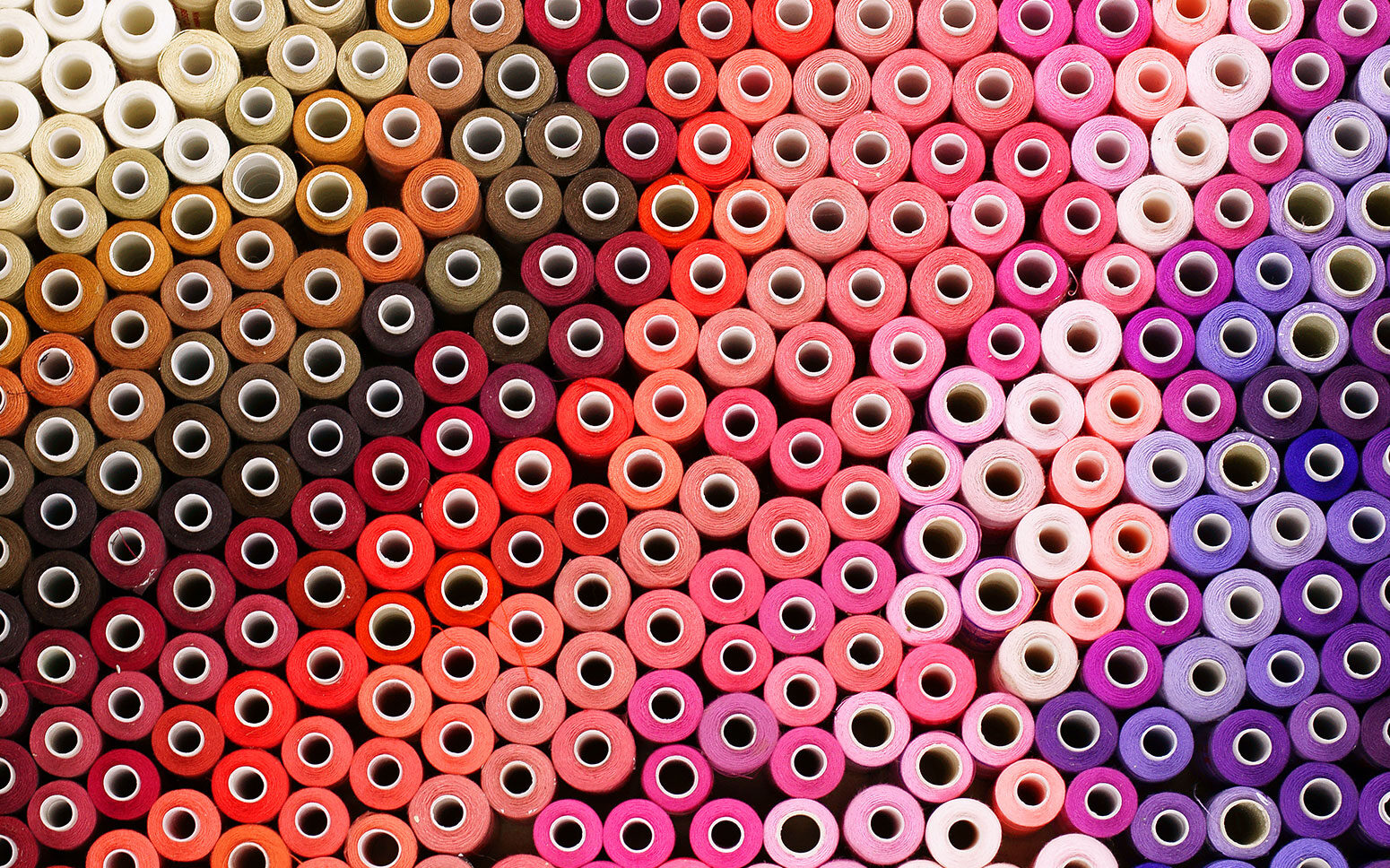 The Fashion Trend Cycle Favors the Bold